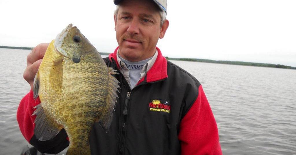Catch limits preserve angling opportunities for future generations ...