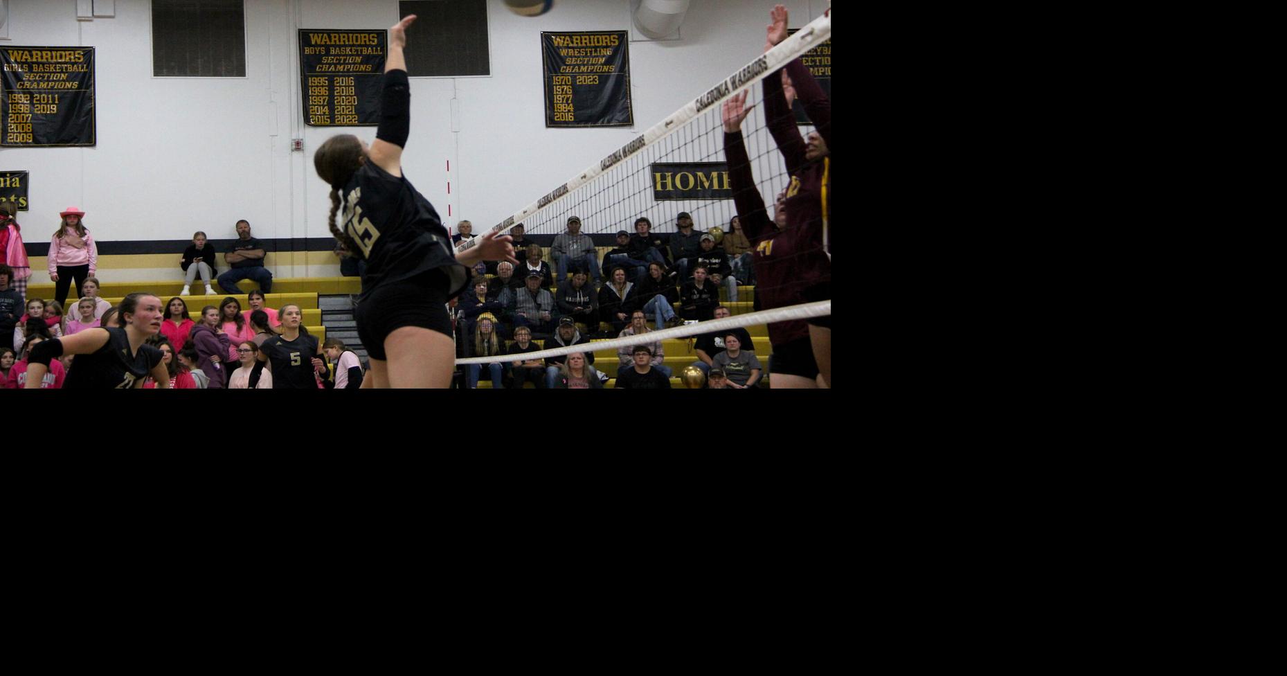 Warriors girls volleyball cruises to a 3-set win over Dover-Eyota, end ...
