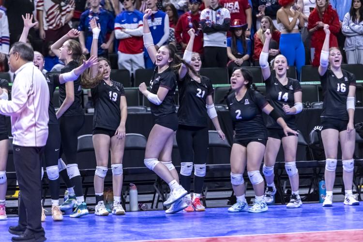 Volleyball: Thriller, sweep lead Anoka to third-place state finish ...
