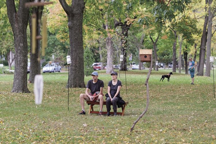 Fall Sound Garden will provide ‘opportunities for serendipity’ in St ...