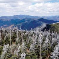 Catching up with Jake Gale: SAHS grad is hiking the Appalachians to ...