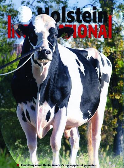 The #1 Holstein bull in the world comes from just down the road | Local ...