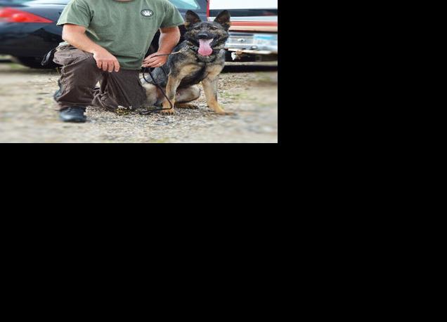 Wright County K-9 Vader retires | Elk River Star News | hometownsource.com