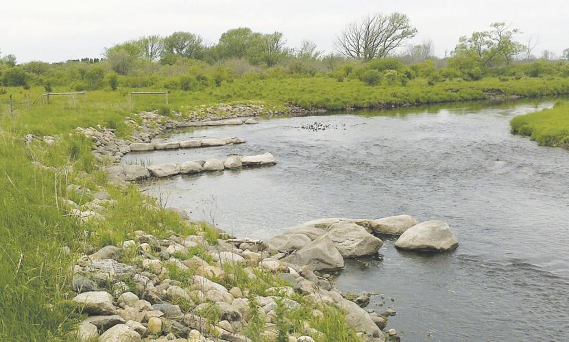 Study shows some improvement in Crow River water quality | Local News ...