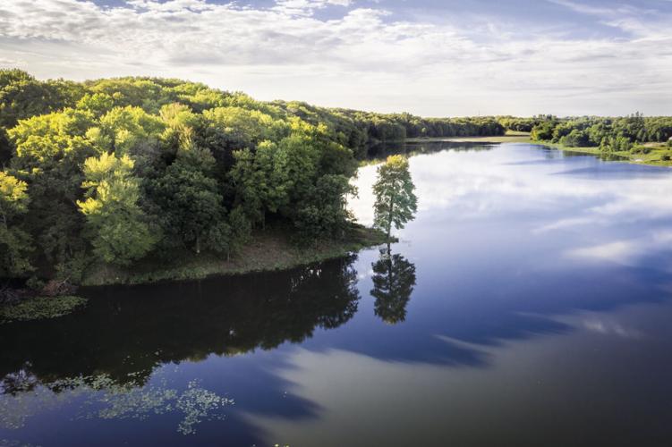 Better Place Forests plant over 13,000 trees | Community ...