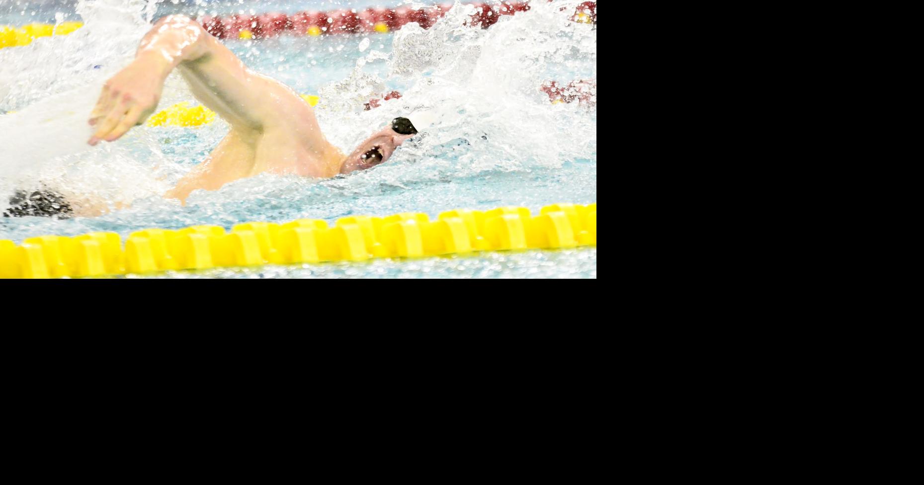 Champlin Park boys swimming: Rebels earn several postseason awards ...