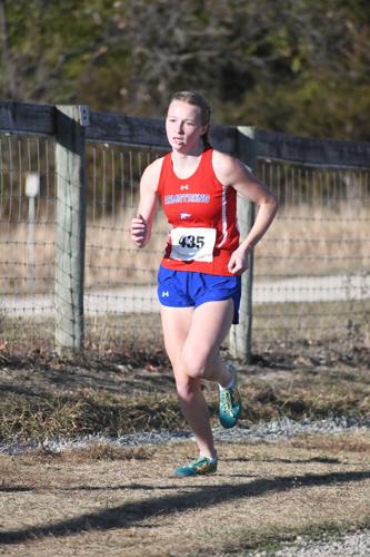 Falcons send three runners to state at Section 6AAA meet | Sun Post ...