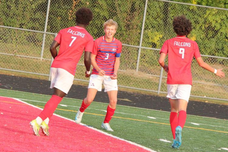 Falcons soccer soars into sections | Sports | hometownsource.com