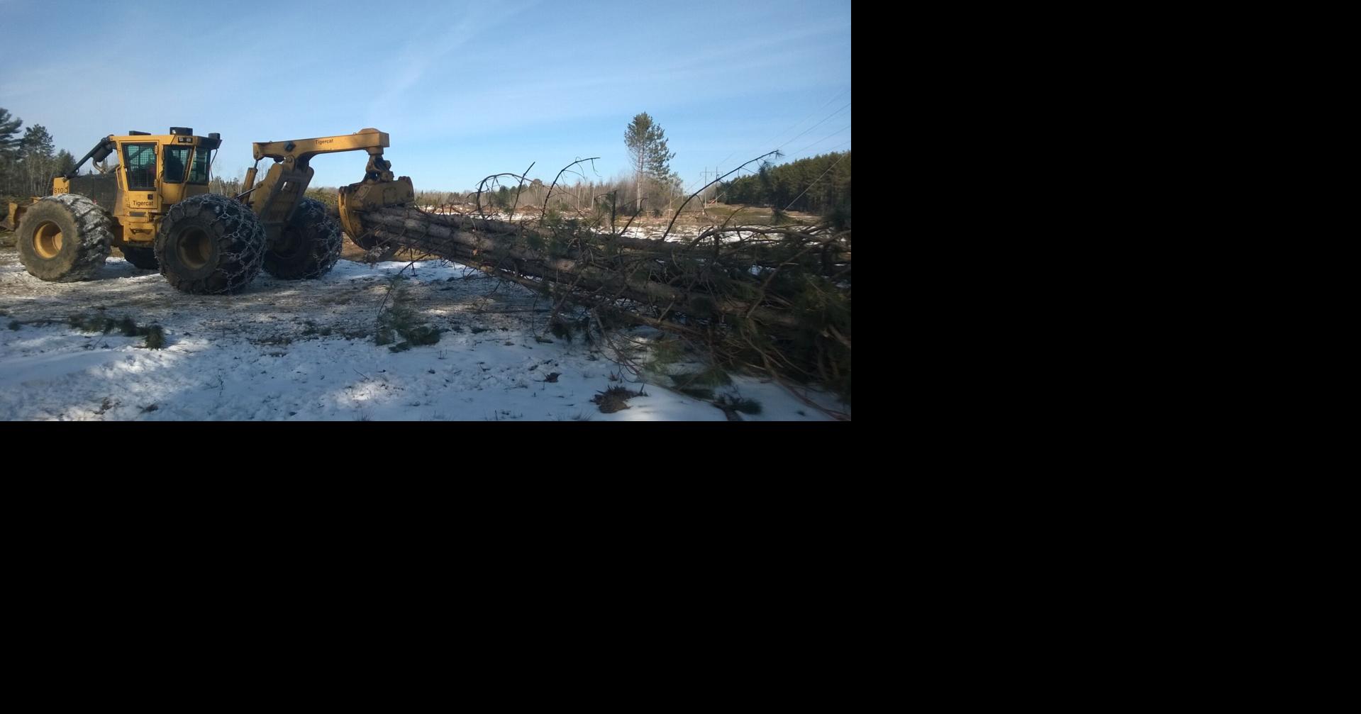 Trump order strikes a cord with timber industry | APG State News ...