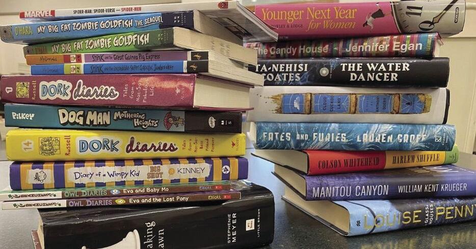 Library Friends run gently used book sale | Stillwater | hometownsource.com