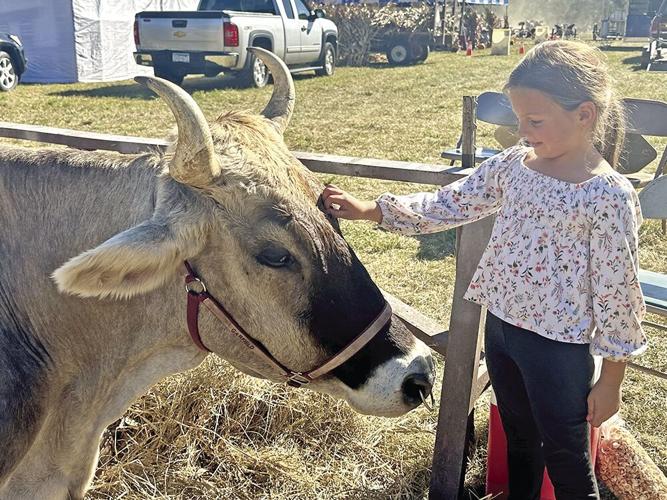 Reminiscing of the good ole' days | Morrison County Record ...