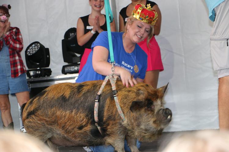 The 2024 Kiss the Pig winner is crowned at Dew Days | Farmington ...