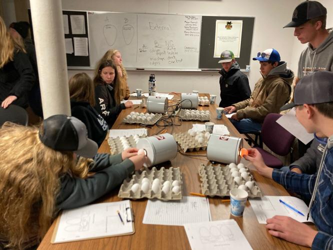 Agriscience education and FFA activities are alive and well in ...