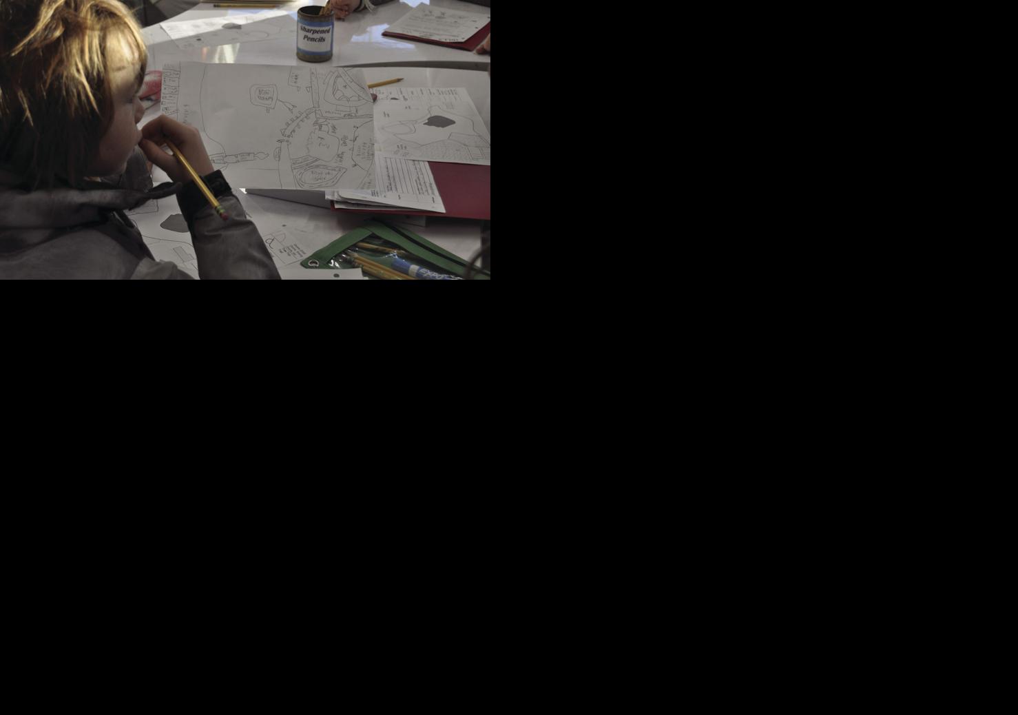 Edina students designing a bison exhibit for Minnesota Zoo | Education ...