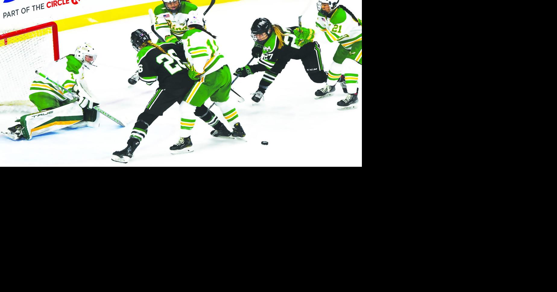 Team effort leads Edina girls to state title game | Sports ...