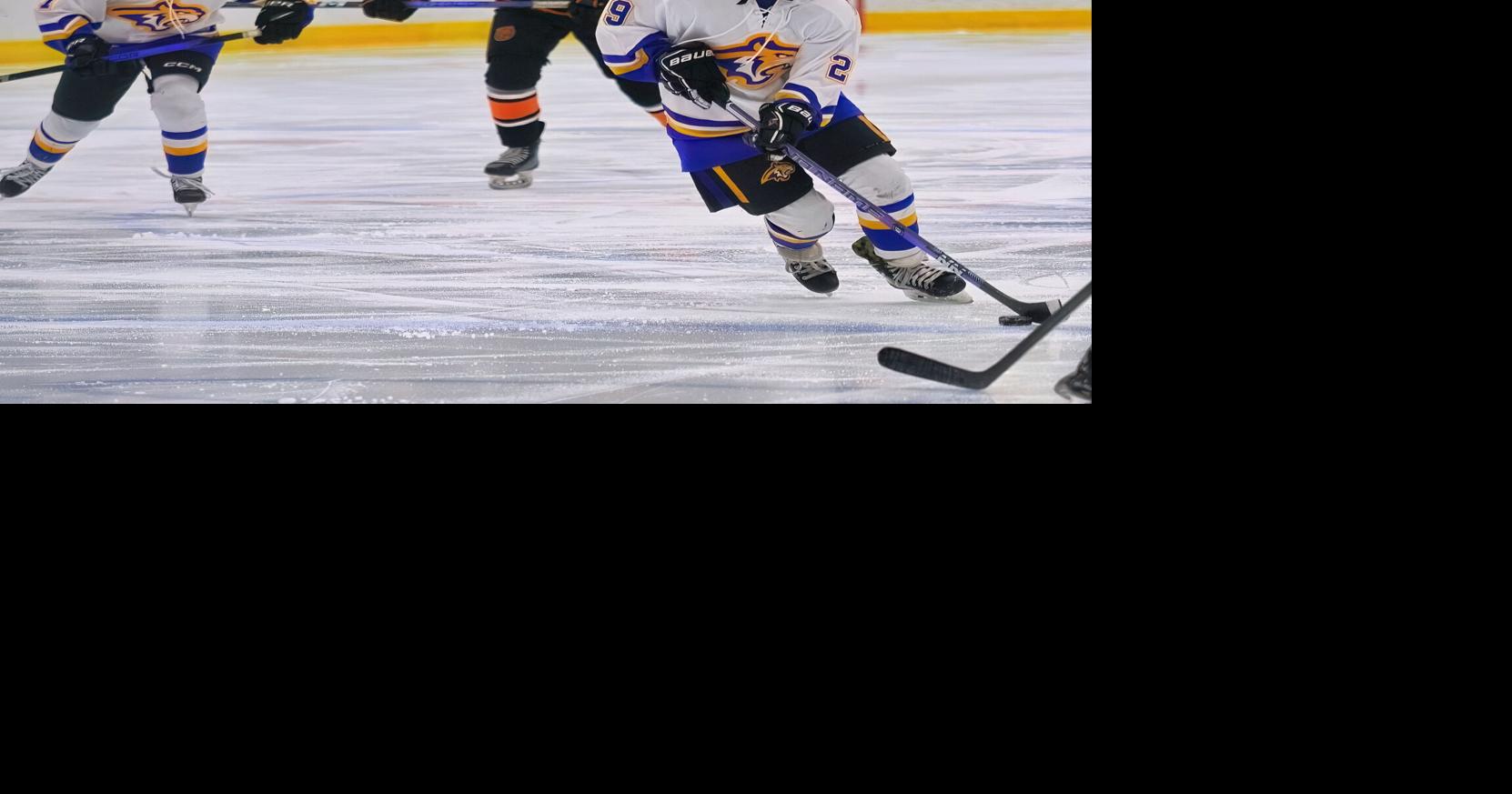 Wildcats take on St. Cloud | Sports | hometownsource.com