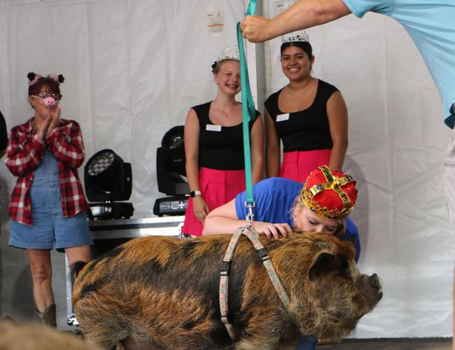 The 2024 Kiss the Pig winner is crowned at Dew Days | Farmington ...
