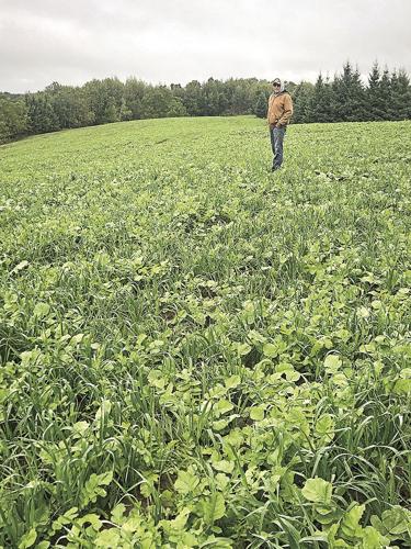 Ledebuhr family chosen as Conservationist of the Year for 2020 | Local ...