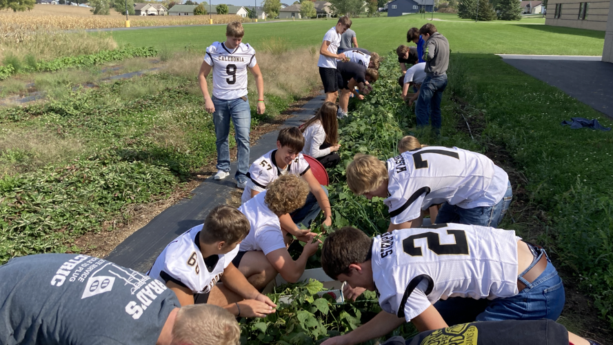 National FFA Week - Caledonia 2023-24 | Community | hometownsource.com