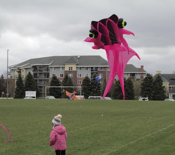 Kites fly in St. Louis Park | Free | hometownsource.com