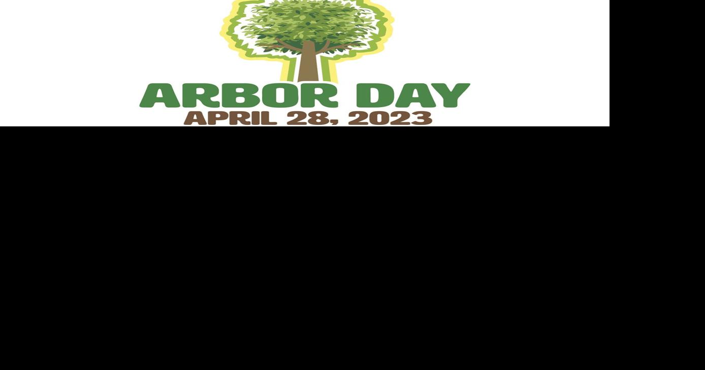 Stillwater prepares for biggest tree contest | Stillwater ...