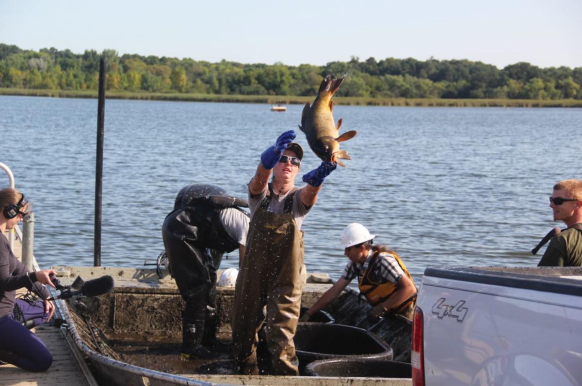 Invasive carp removal process begins | Community | hometownsource.com