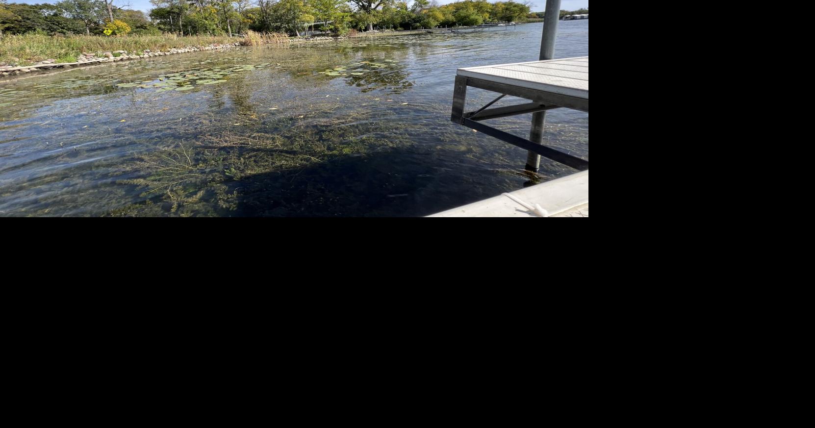 LMCD approves funds for Stubbs Bay, Forest Lake AIS work | Community ...