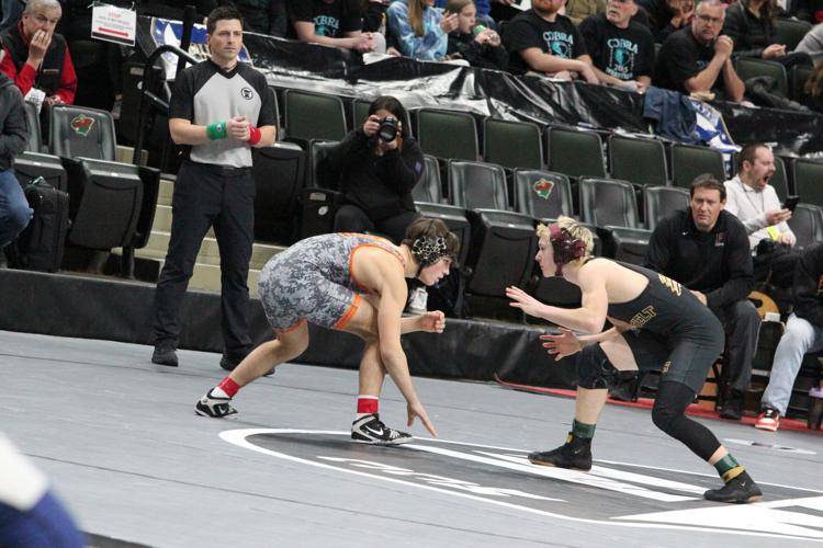 Princeton's Alayna Johnson finishes third at state wrestling meet ...