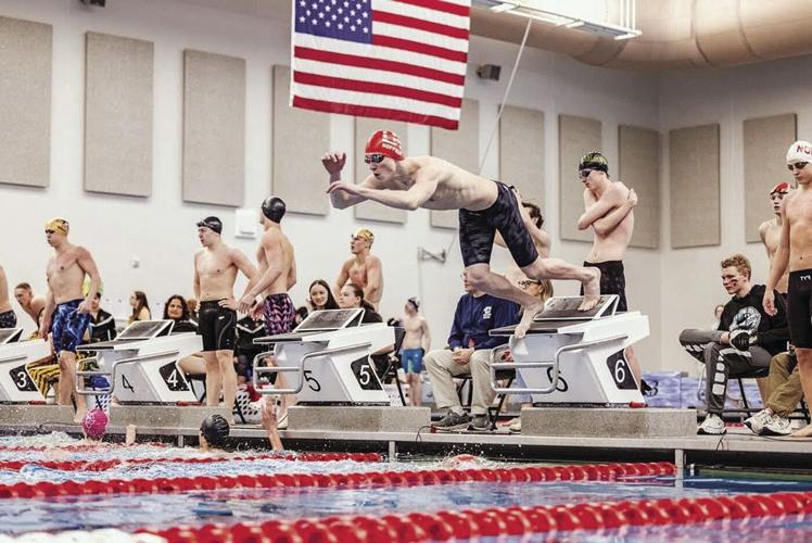 Swimming: Cougars pick up momentum going into state | Sports ...