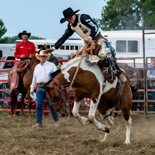 Enjoy more Houston County fair photos | | hometownsource.com