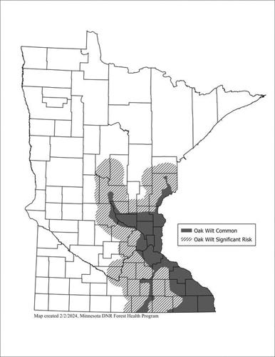 Prune oaks now to avoid oak wilt infection | Local News ...