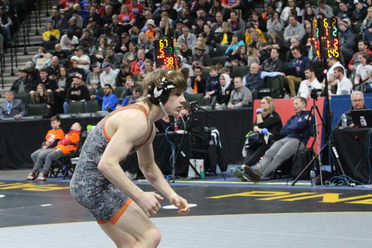 Photo gallery: Princeton's Tyler Wells wins state, Zack Wells places ...