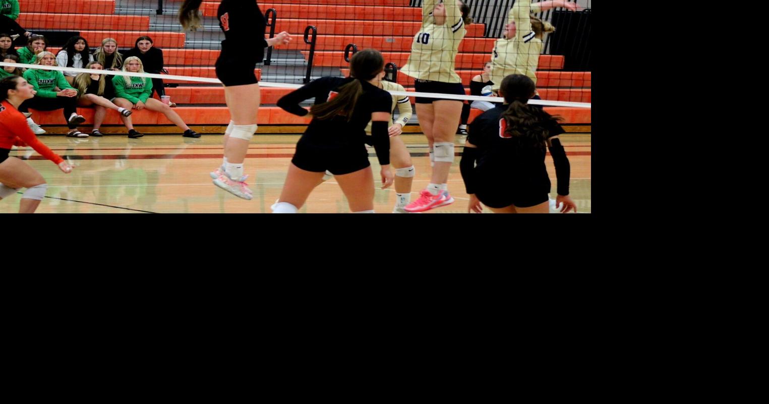 Barrick earns second consecutive All-State selection | APG State News ...