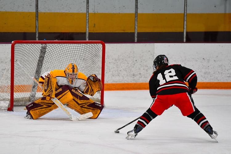 Girls hockey looks for more stability in final eight games | Sports ...