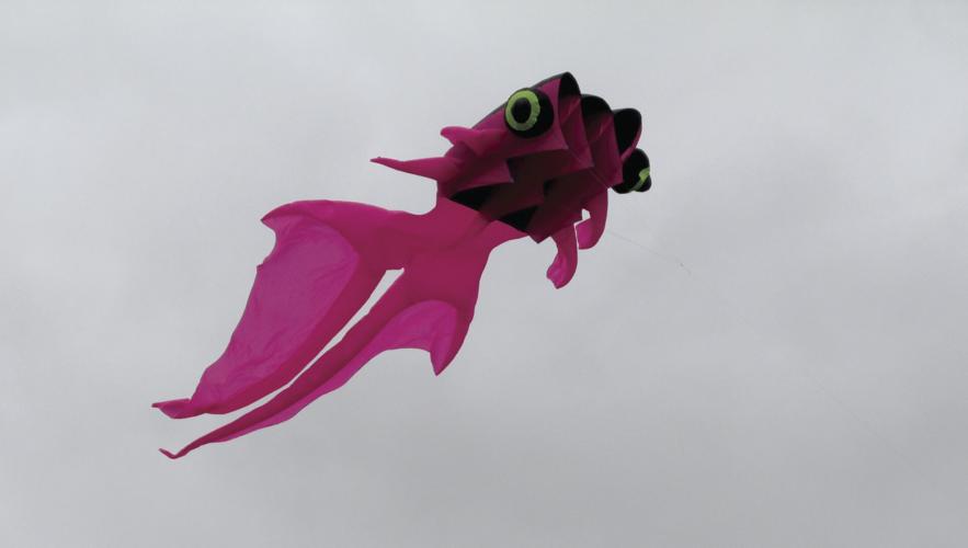 Kites fly in St. Louis Park | Free | hometownsource.com