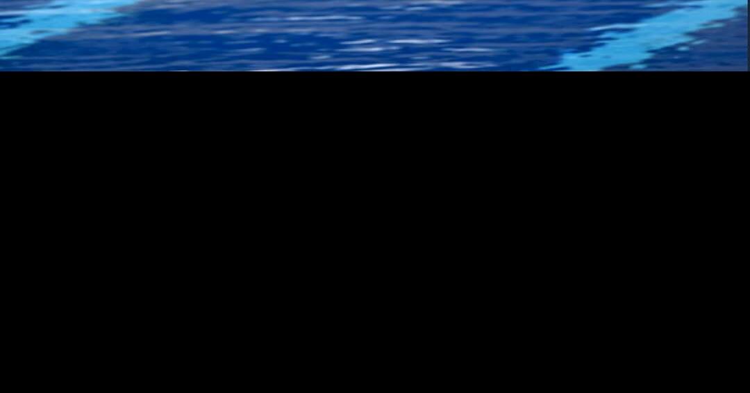 Quartet of Elks compete at Class 2A state swimming meet | Elk River ...