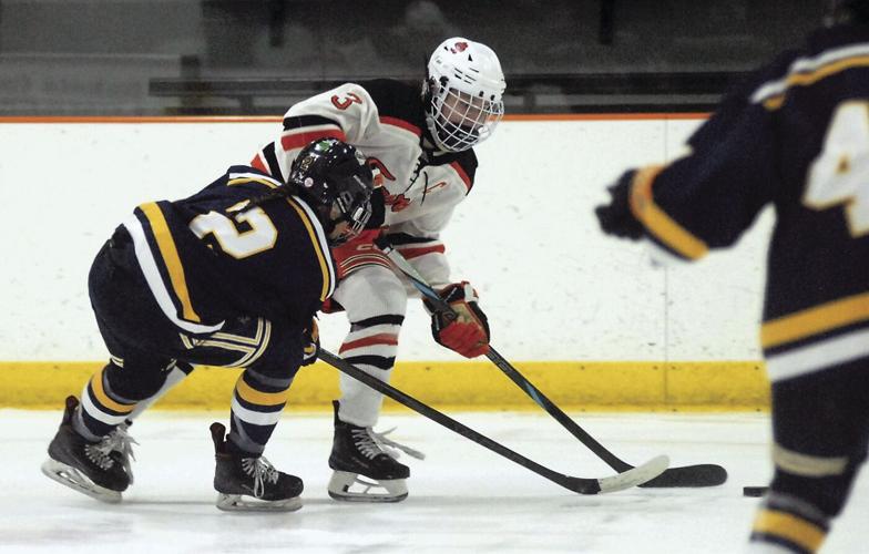 Girls hockey: Tigers take SSC lead by locking down | Sports ...