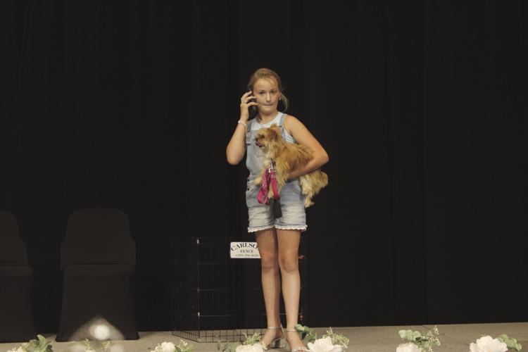 Little Miss, Junior Ambassadors crowned in Braham | Free ...