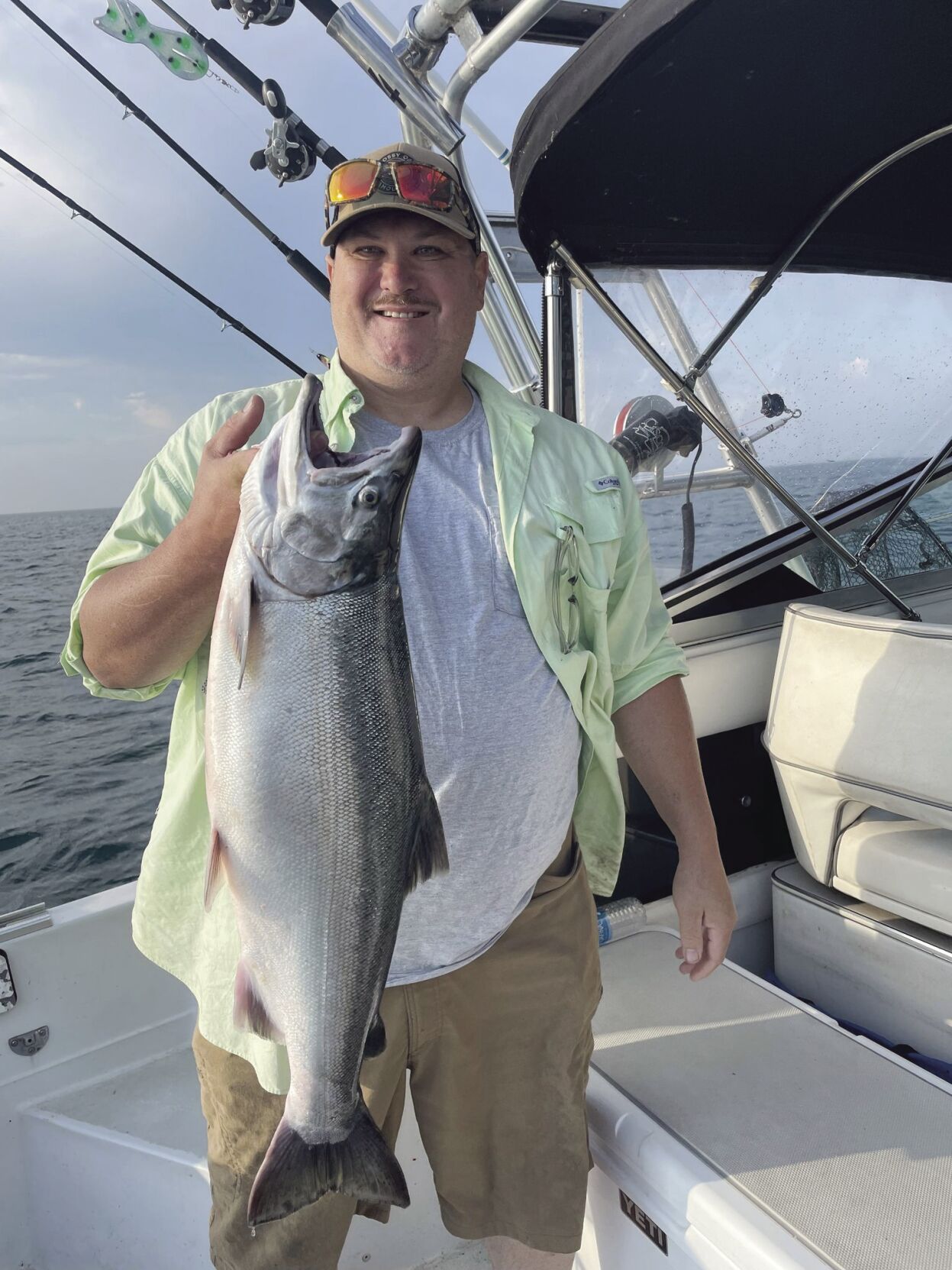 Minnesota DNR certifies a state record coho salmon | Local News ...