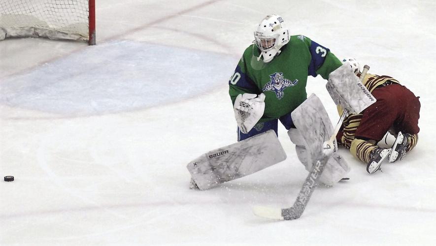 Tigers, Irish earn top seeds in girls hockey playoffs | Sports ...