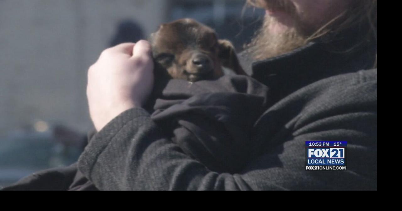 Bock Fest Brings German Beer, Goats Back to Earth Rider | Entertainment ...