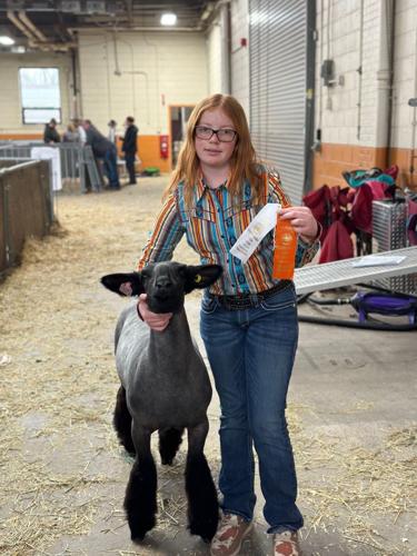 Local sheep exhibitor captures 3rd | News | huntingdondailynews.com