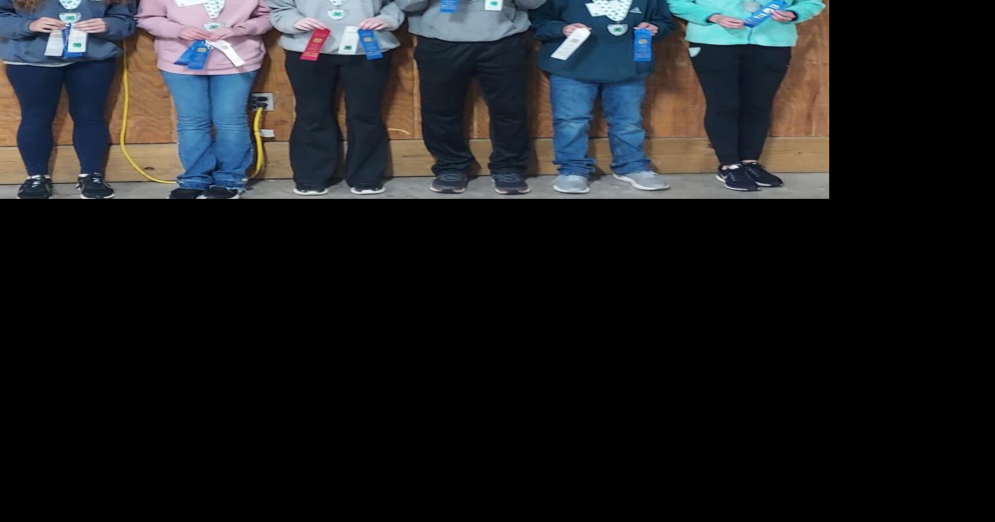 4-H sharpshooters dominate state team competitions | News ...
