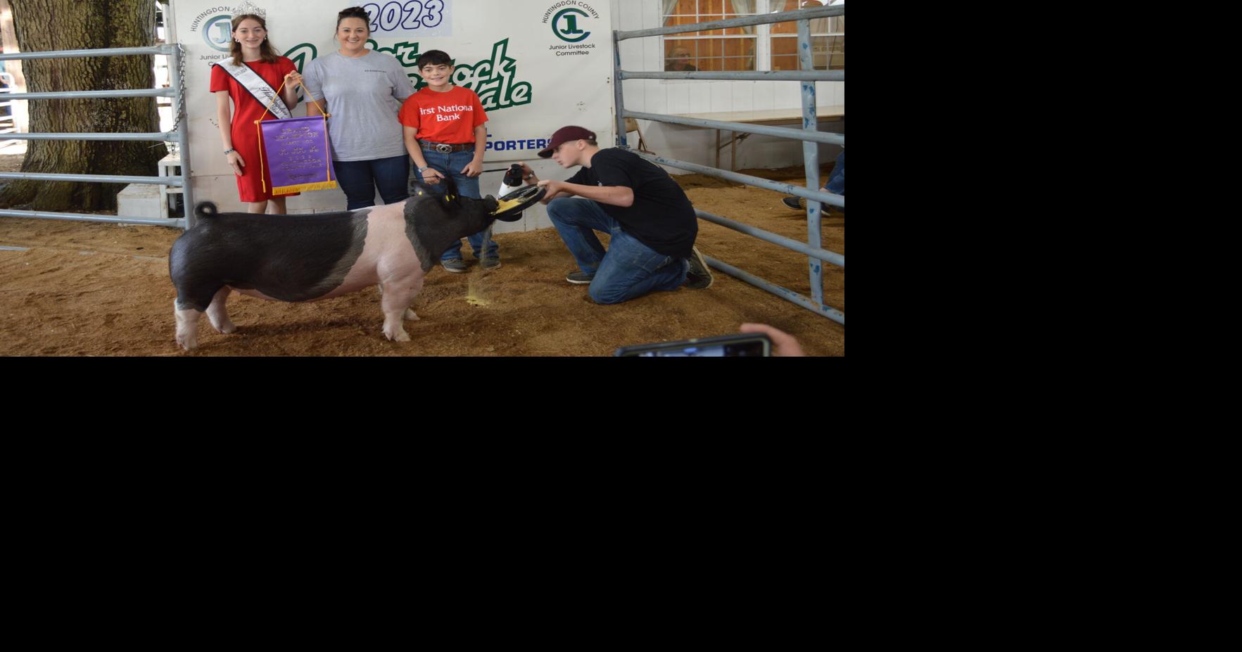 Market swine open 2023 livestock sale | Local | huntingdondailynews.com