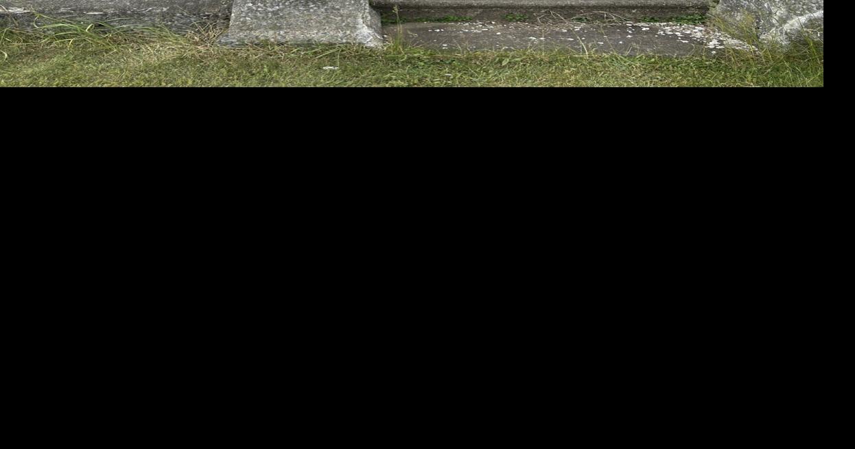 Area Scouts participate in Memorial Day activities | People ...