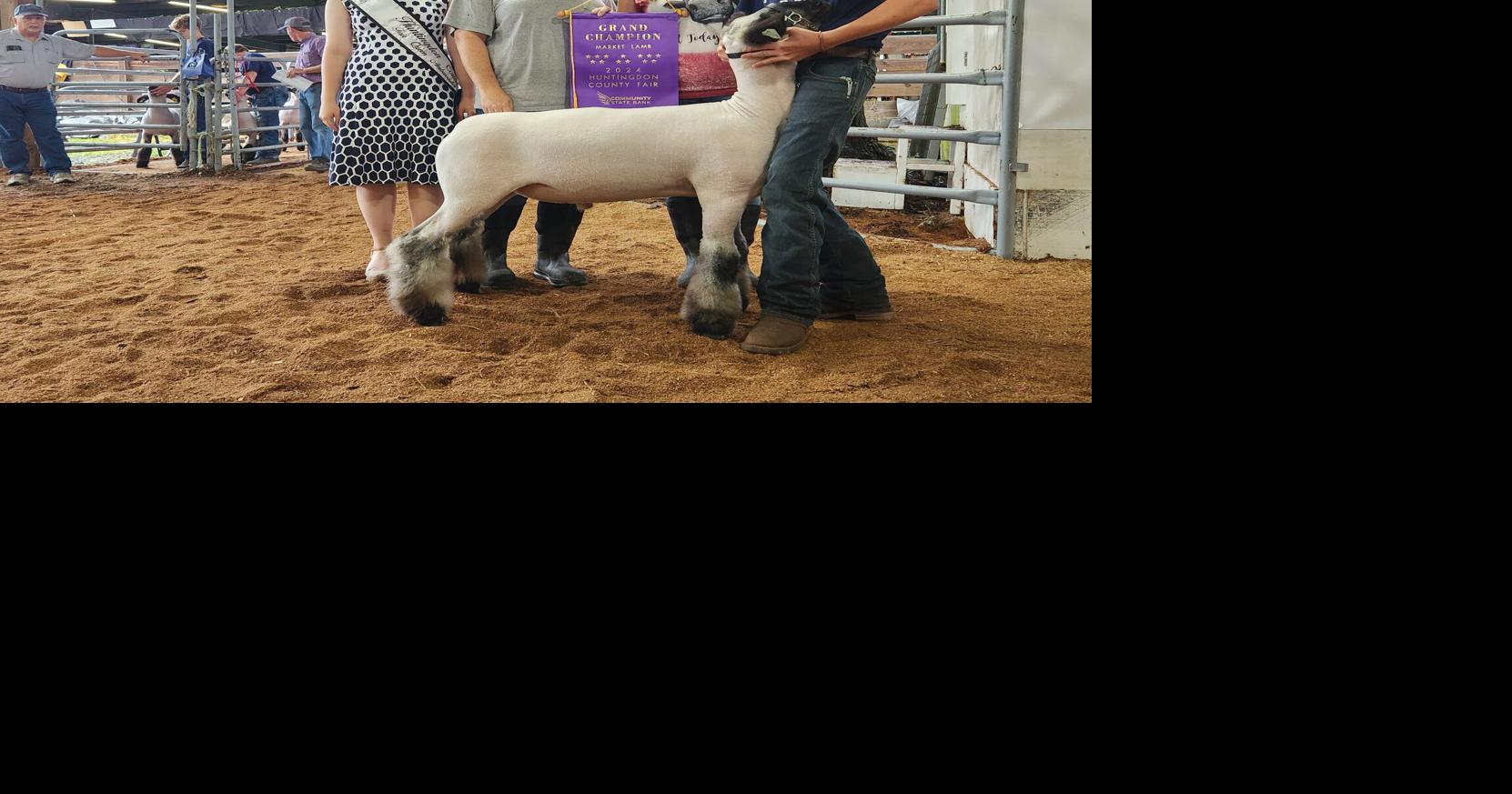 Highest market lamb prices top champion | Local | huntingdondailynews.com