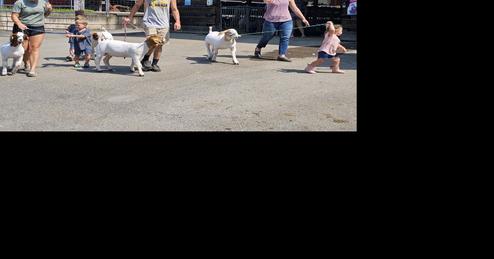 Reflecting on a busy fair week | Chatter Box | huntingdondailynews.com