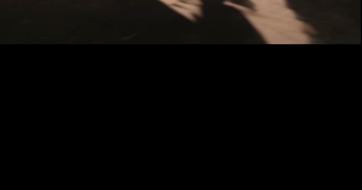 David W. Brenneman | Obituaries | huntingdondailynews.com