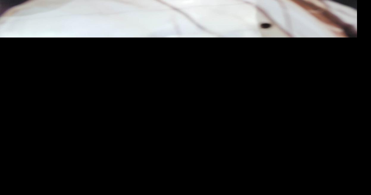 Marcus R. Chappell | Obituaries | huntingdondailynews.com