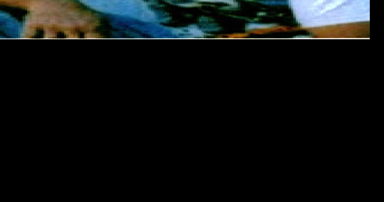 Charles Wilber Leeper Jr. | Obituaries | huntingdondailynews.com